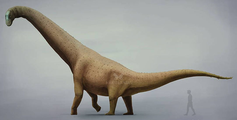 Austroposeidon | dinossauros-e-afins