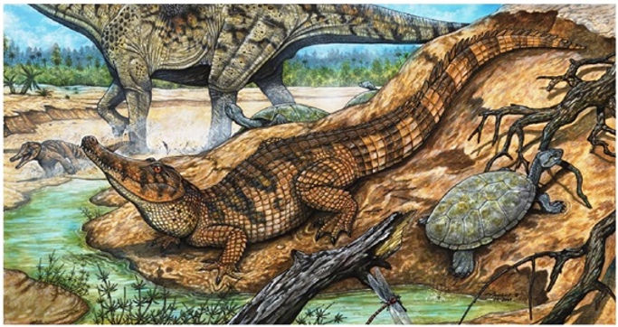 Pepesuchus | dinossauros-e-afins