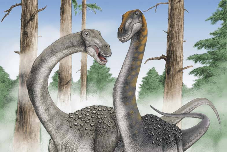 Maxakalisaurus | dinossauros-e-afins