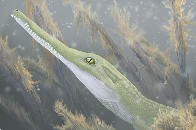 Batrachomimus | dinossauros-e-afins