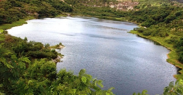 Sahitisuchus | dinossauros-e-afins