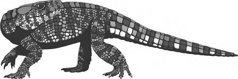 Candidodon | dinossauros-e-afins