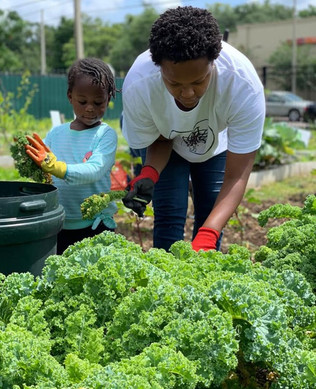 Our Team & Contributors | Infinite Zion Farms | Orlando, FL