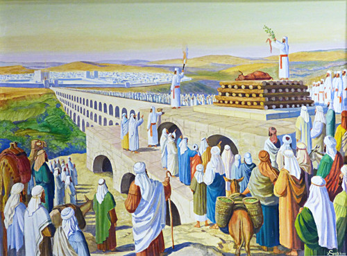 Red Heifer Offering canvas print | The Temple Institute