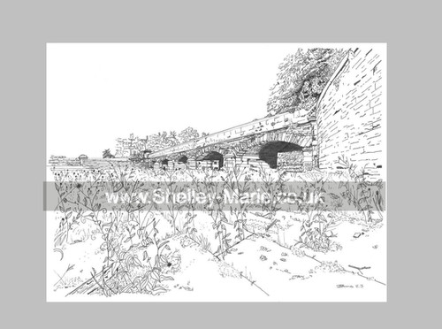 Pen Drawing- Stacey Bank- Loxley | Shelley-Maries Art
