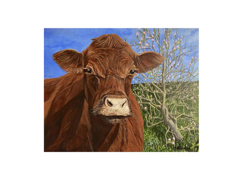 Polly-The Red Poll Cow | Shelley-Maries Art