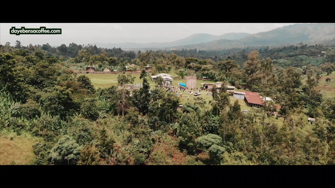 Daye Bensa | Ethiopian Specialty coffee Organic