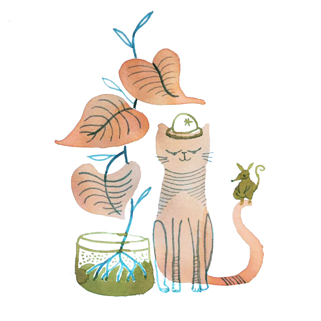 Ilustradora Argentina | Natalia Rod Ilustradora Freelance