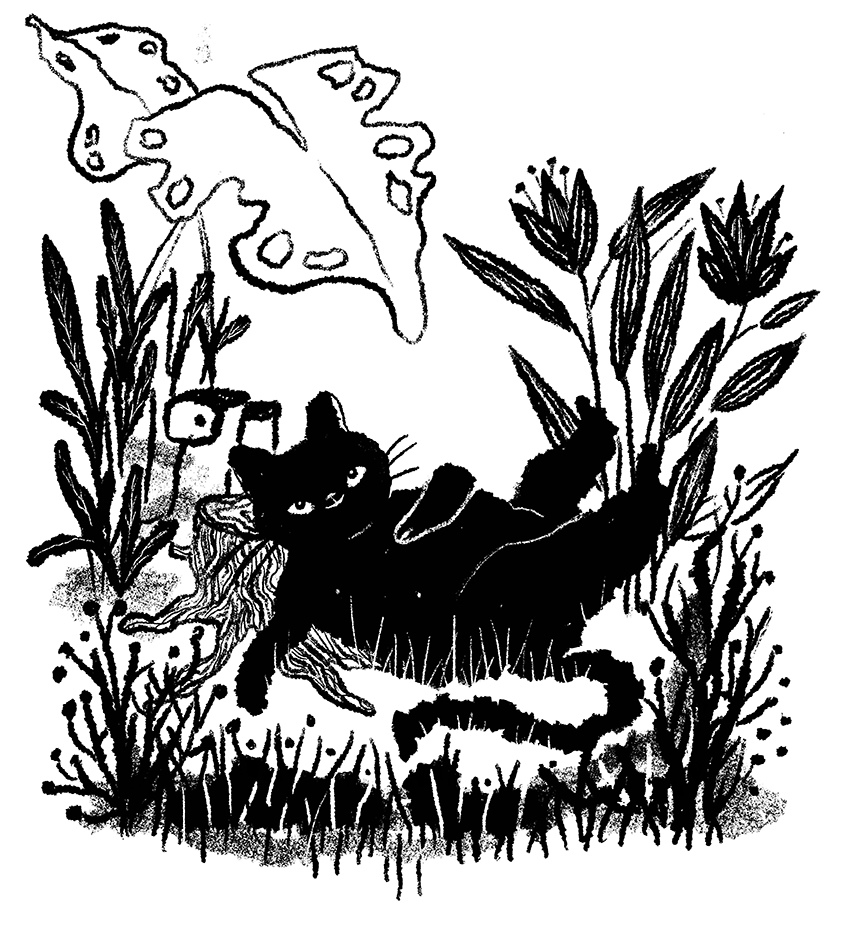 Ilustradora Argentina | Natalia Rod Ilustradora Freelance