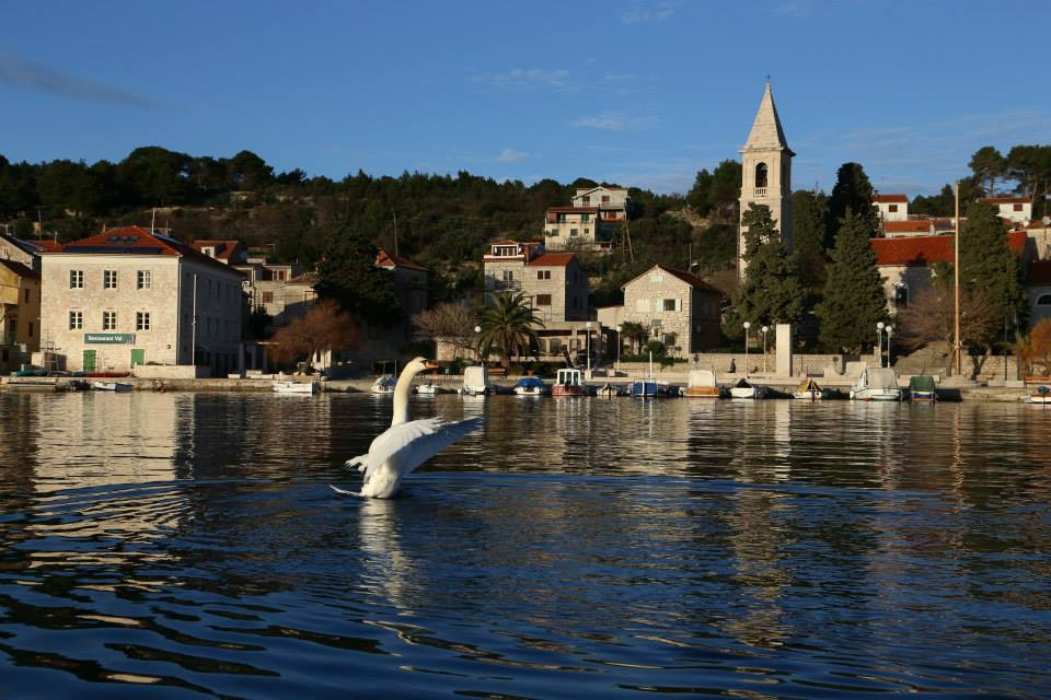 Island Prvic Croatia