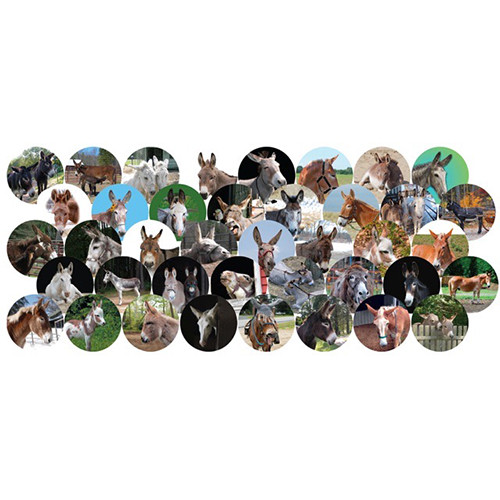 Long Ear Sticker Sheet | Save Your Ass Rescue