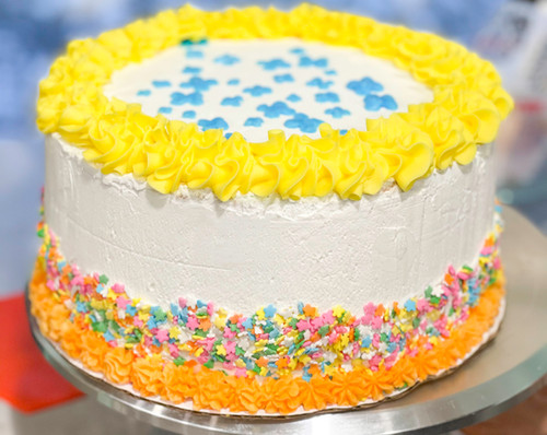 Birthday Cake Ice Cream Cake (Serves 10-14) | Waylon's Handcrafted