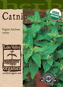 organic-catnip-heirloom