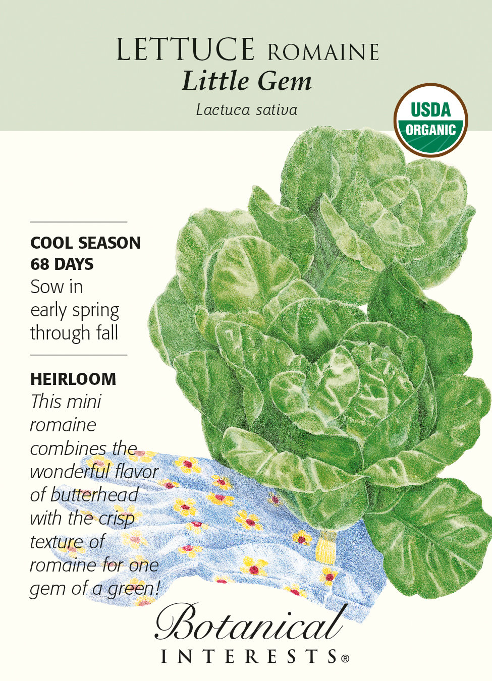 lettuce-romaine-little-gem-red-org