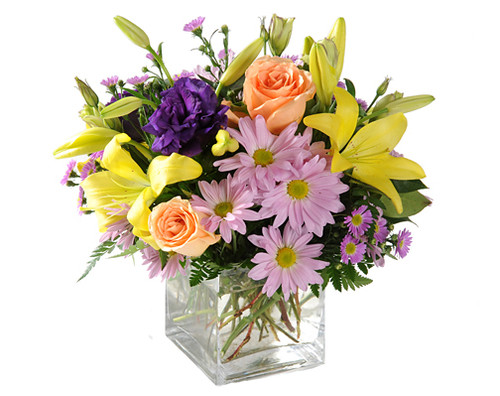 Designers Choice | Johnson's Florist