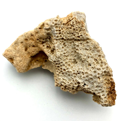 Calcário Recifal | Cubic Mineral