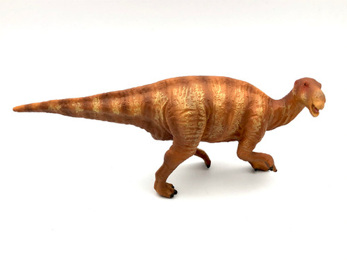 Muttaburrasaurus | Cubic Mineral