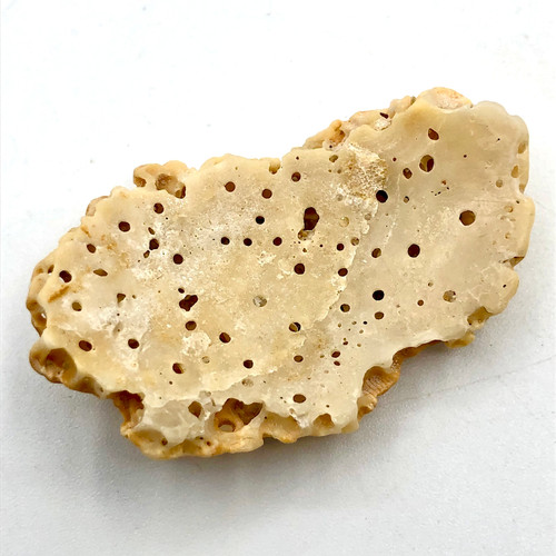 Entobia | Cubic Mineral