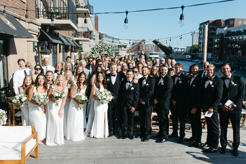 Gallery | The Starling