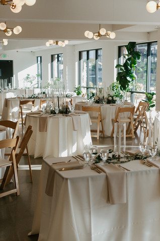 Gallery | The Starling