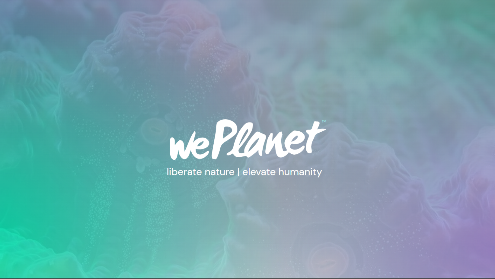 Team (All) | WePlanet Belgium