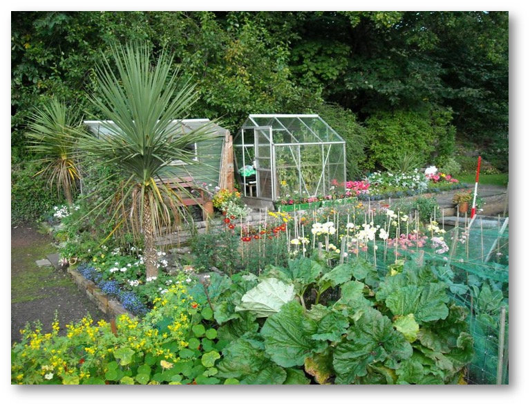 All About Allotments
