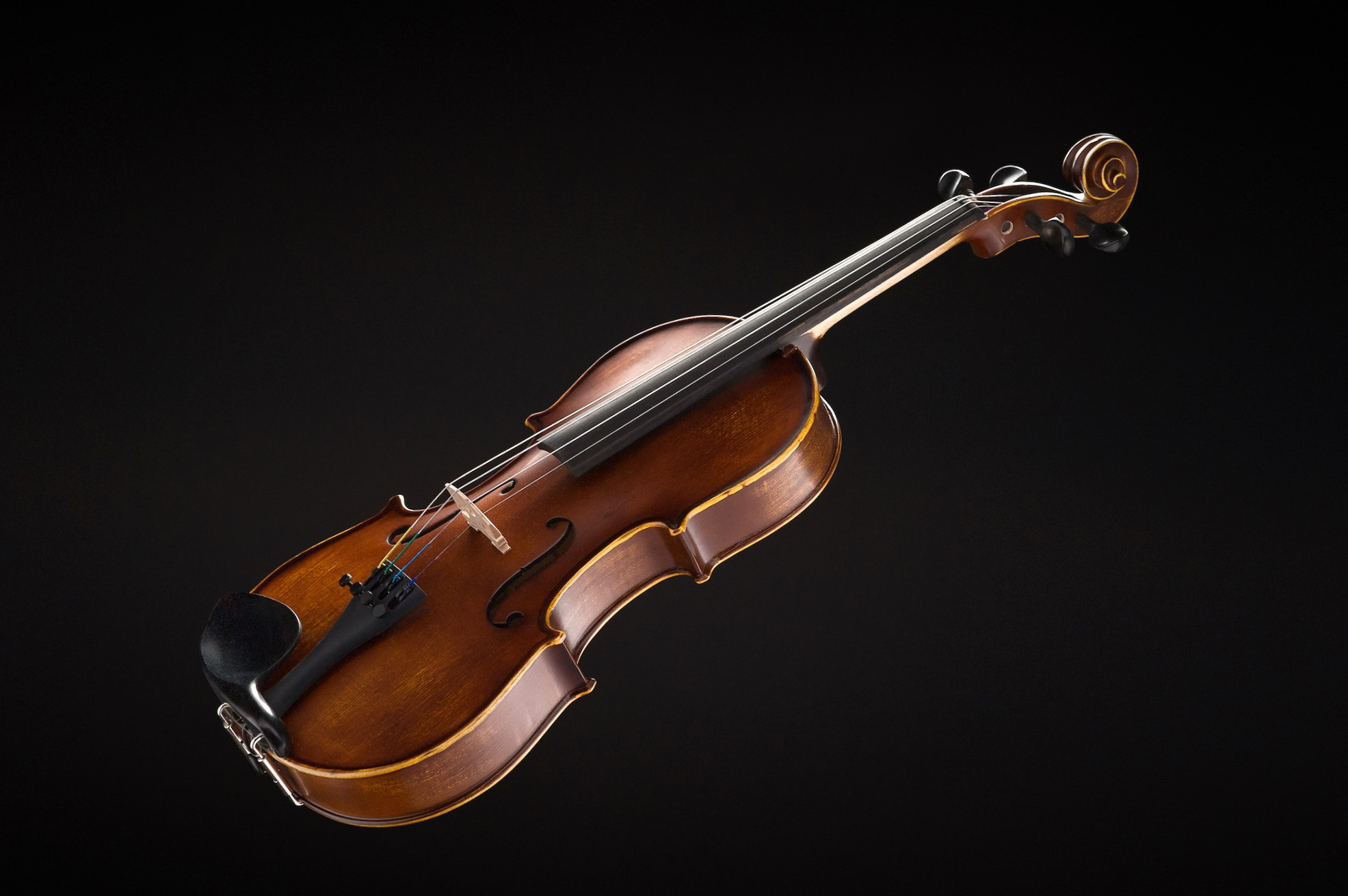Violin Music Store | Maple and Strings