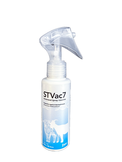 ASK-BAV | Bio Angle Vacs