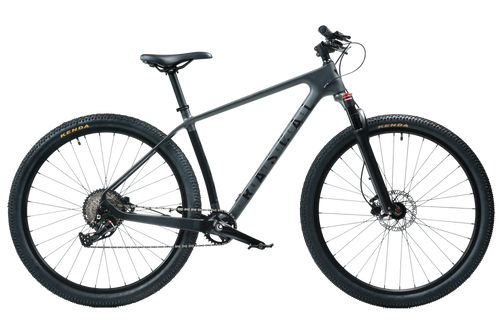 Rascal Bikes Rebel 29 | Het Fietslab