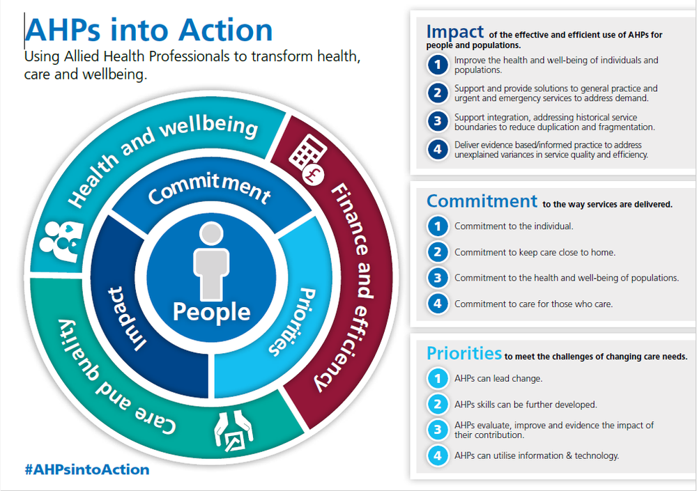AHPs into Action: What's it all about?