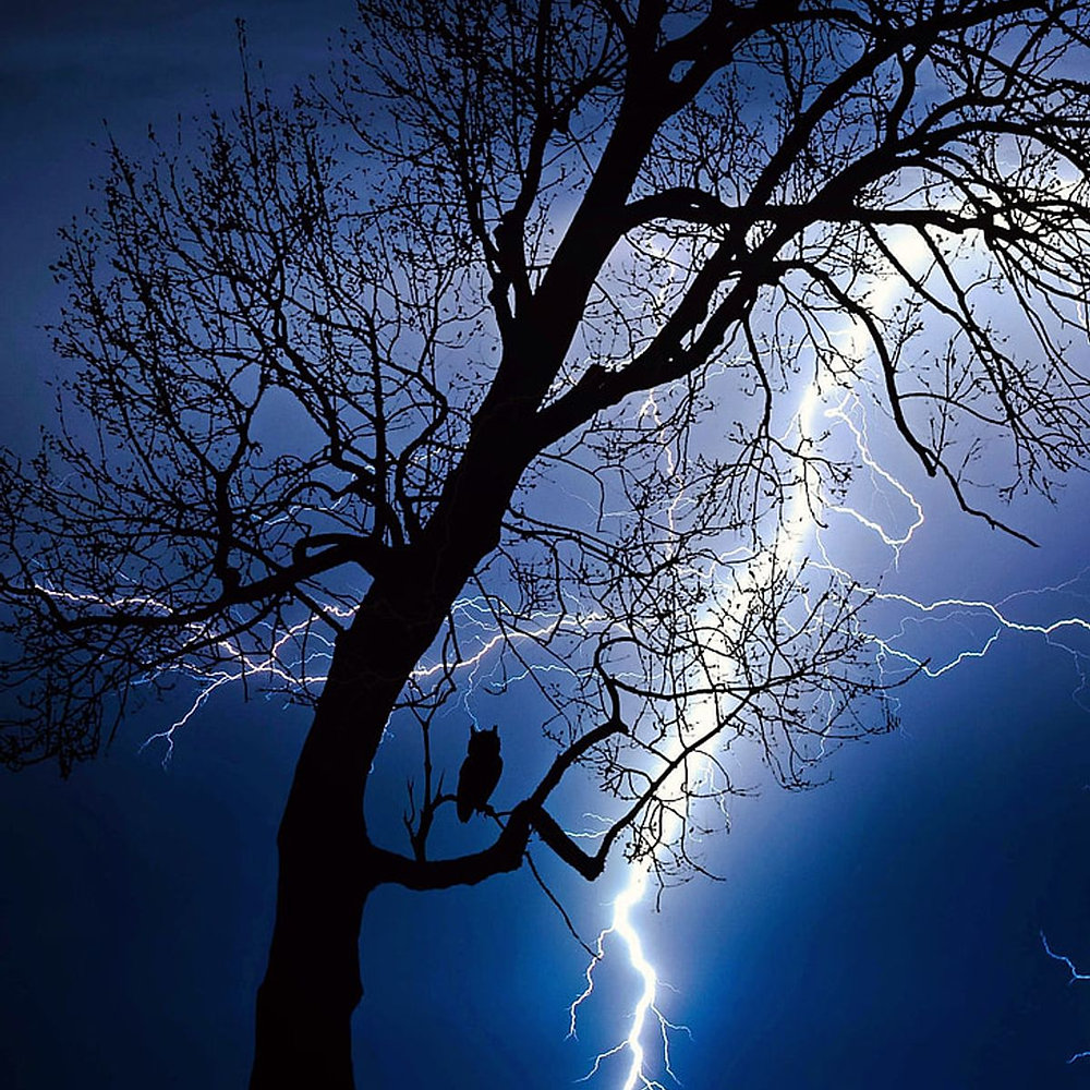 Electricity: Back to the Basics