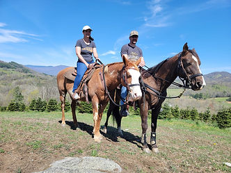 Elk Mountain Riding Company | Guided Horseback Trail Rides | 161 ...