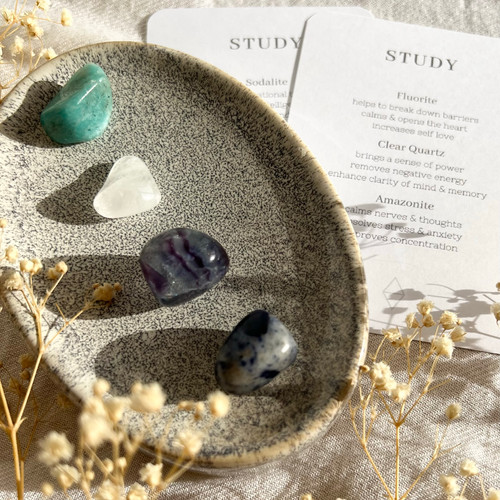 Study Tumble Set | Lapid Art