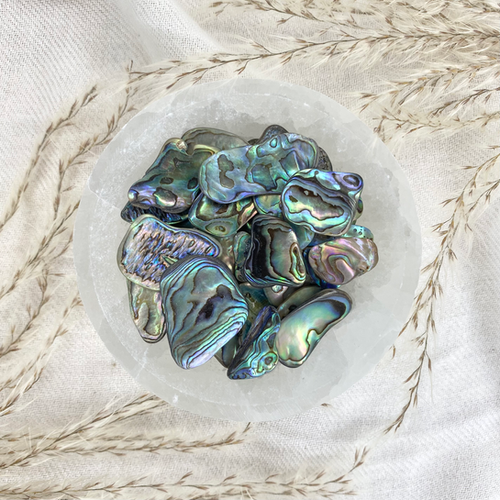 Abalone Shell Chip | Lapid Art
