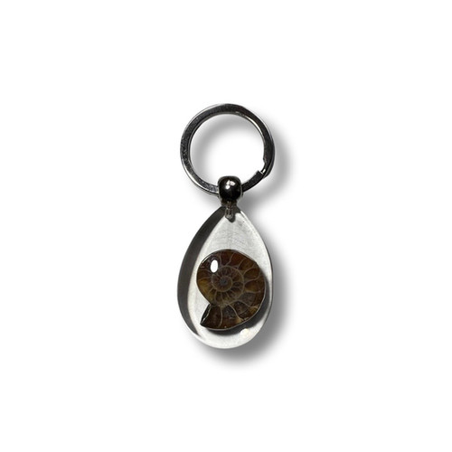 Ammonite Keyring | Lapid Art