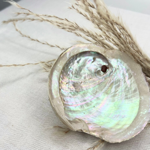 Abalone Shell | Lapid Art