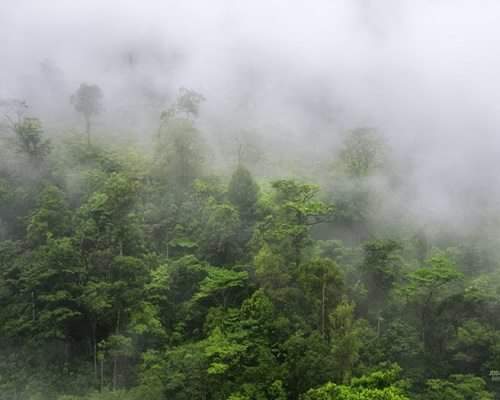 PANACAM, en la cumbre del ecoturismo hondureño y ejemplo de ...