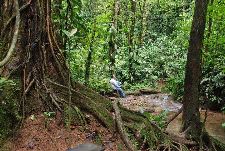 PANACAM, en la cumbre del ecoturismo hondureño y ejemplo de ...
