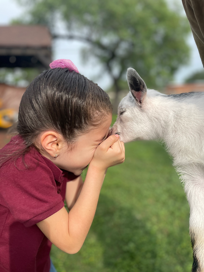Mimi's Mini Farm | Petting Zoo