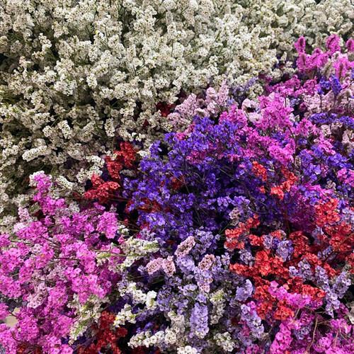 Super Lady | Flowerbox.col