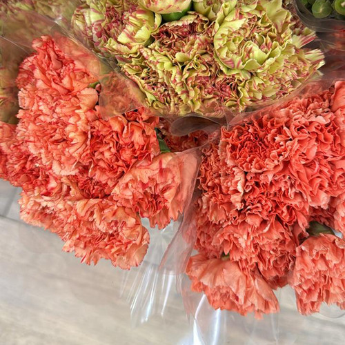 Clavel tipo expotación | Flowerbox.col