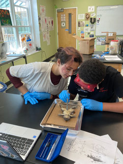 Welcome to SNA | 2nd Nature Academy | Elementary, Middle, & High School ...