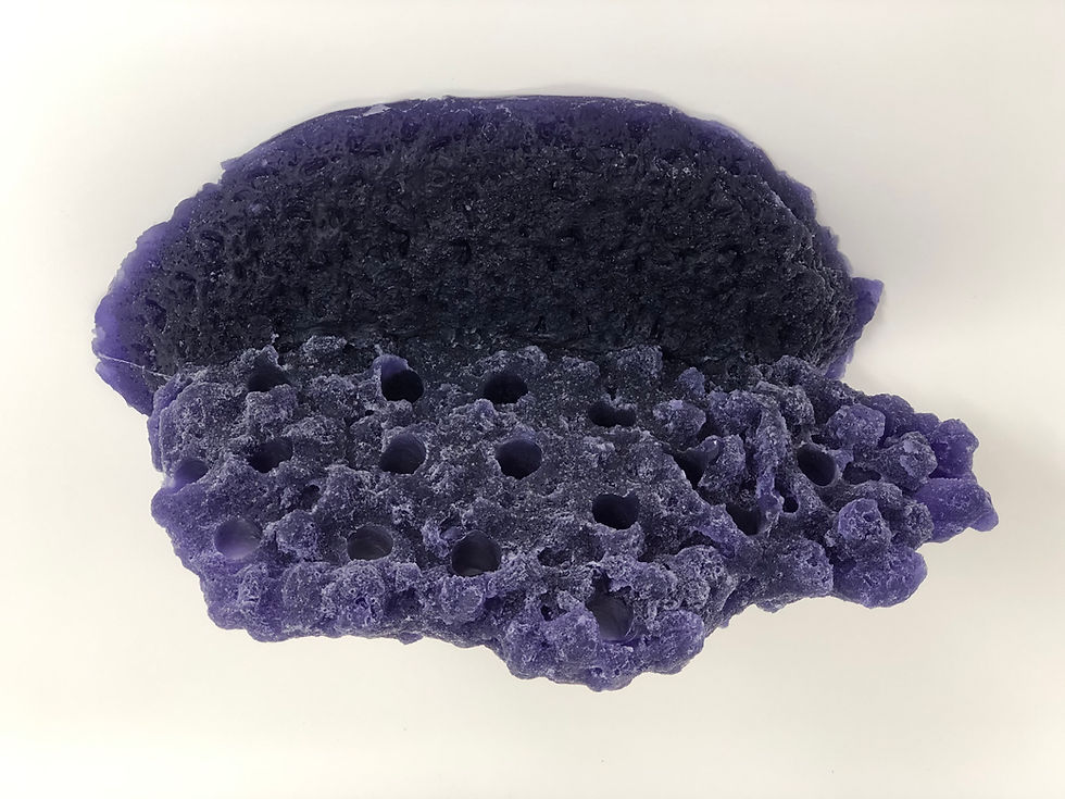 Large 3/4" Rack | reef-rax