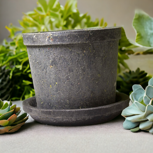 4" & 6" SPB Planter with bottom plate | Meemansa SPB