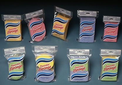 Interview with the Founder | canadasponge