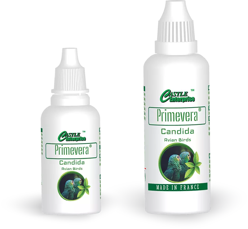 Primevera | Aviary Medications | Castle Enterprise