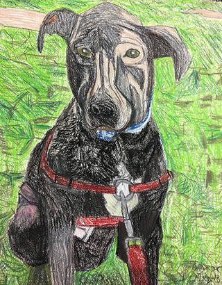 Commissions by Project Onward Artists | Project Onward