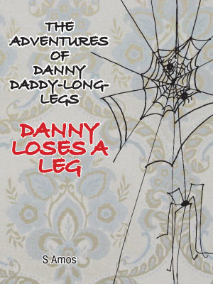 The Adventures of Danny Daddy Long Legs | aspect-design