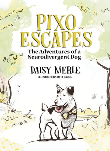 Pixo Escapes | aspect-design