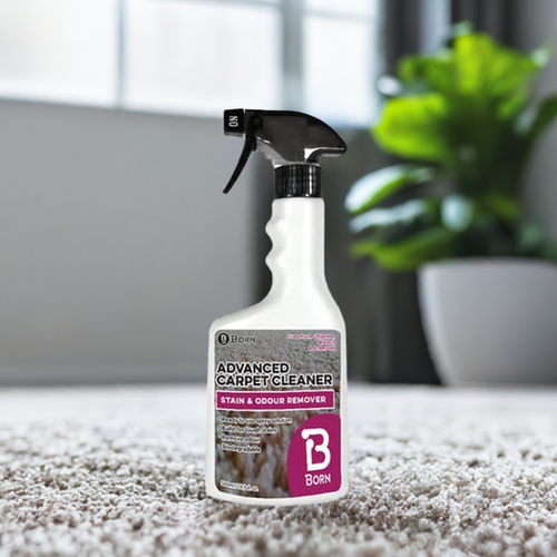 500ml- BORN Advance Carpet Cleaner | BORNNZ